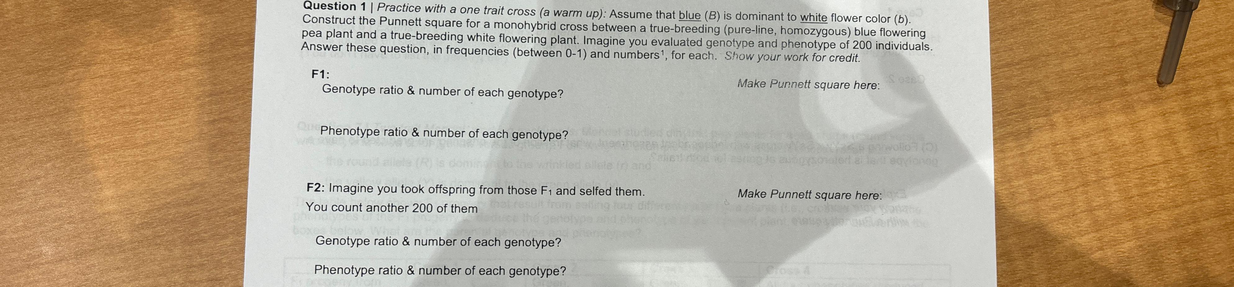 Solved Question 1 | ﻿Practice with a one trait cross (a warm | Chegg.com