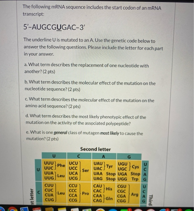 Solved The following mRNA sequence includes the start codon | Chegg.com