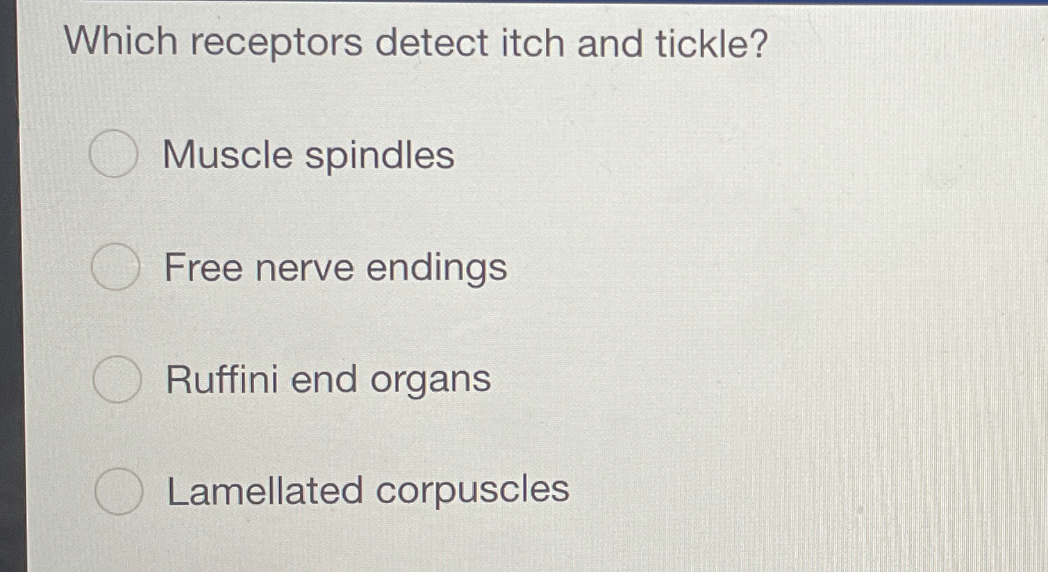 Solved Which receptors detect itch and tickle?Muscle | Chegg.com