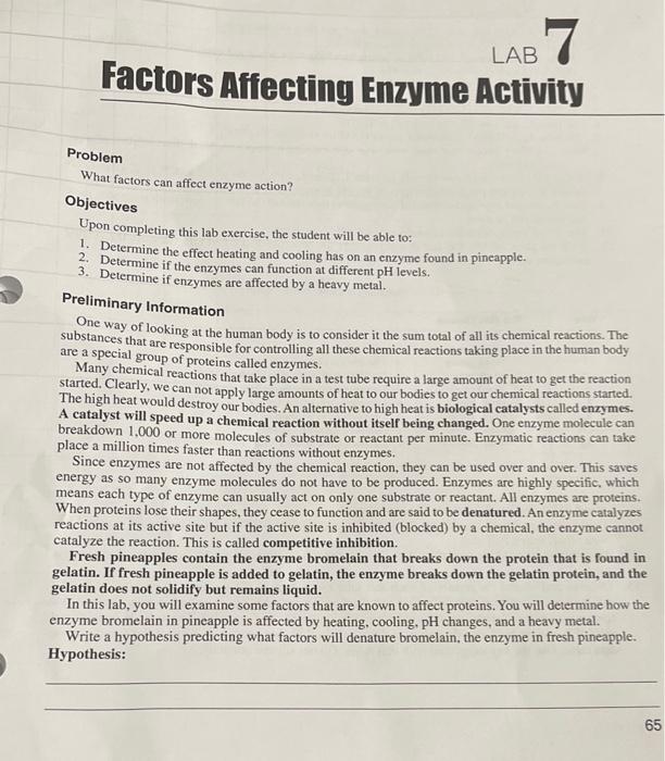 Solved Problem What factors can affect enzyme action? | Chegg.com