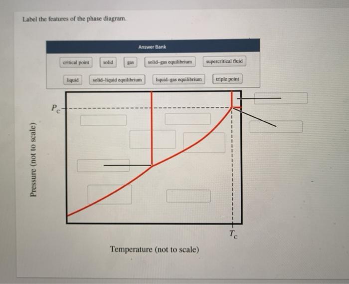 Solved Label the features of the phase diagram. Answer Bank | Chegg.com