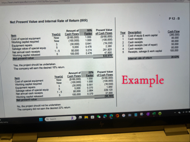 Solved Net Present Value and Internal Rate of ReturnP 12 - | Chegg.com