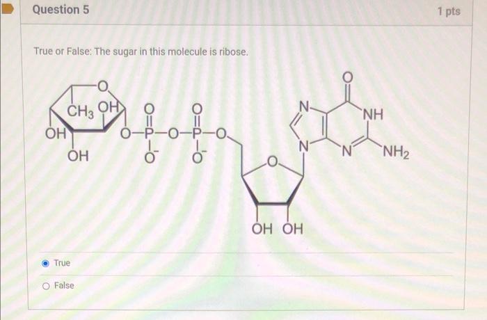 Solved True or False: The sugar in this molecule is ribose. | Chegg.com