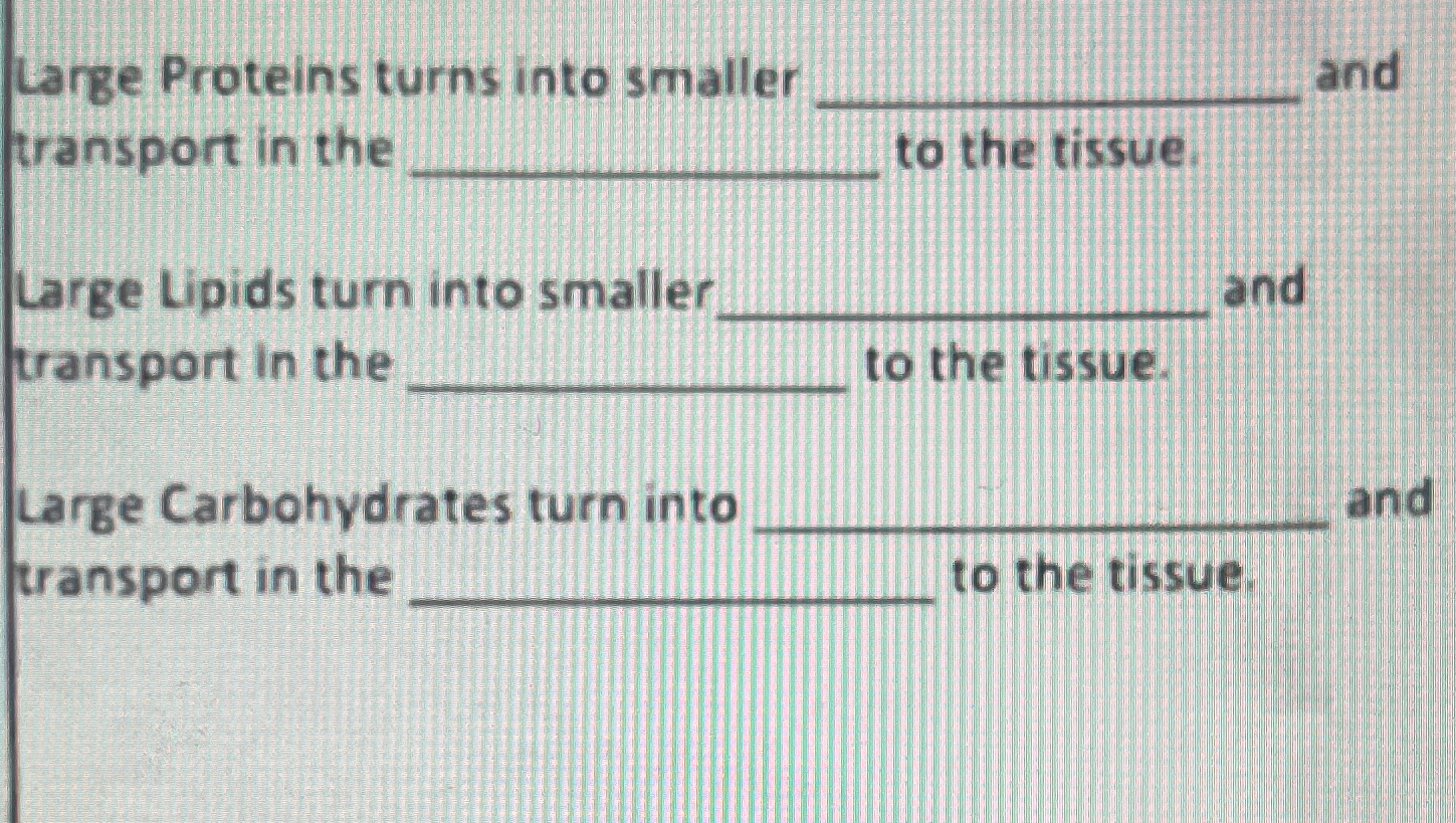 Solved Large Proteins turns into smaller ﻿and transport in | Chegg.com