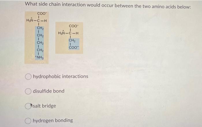 Solved What side chain interaction would occur between the | Chegg.com