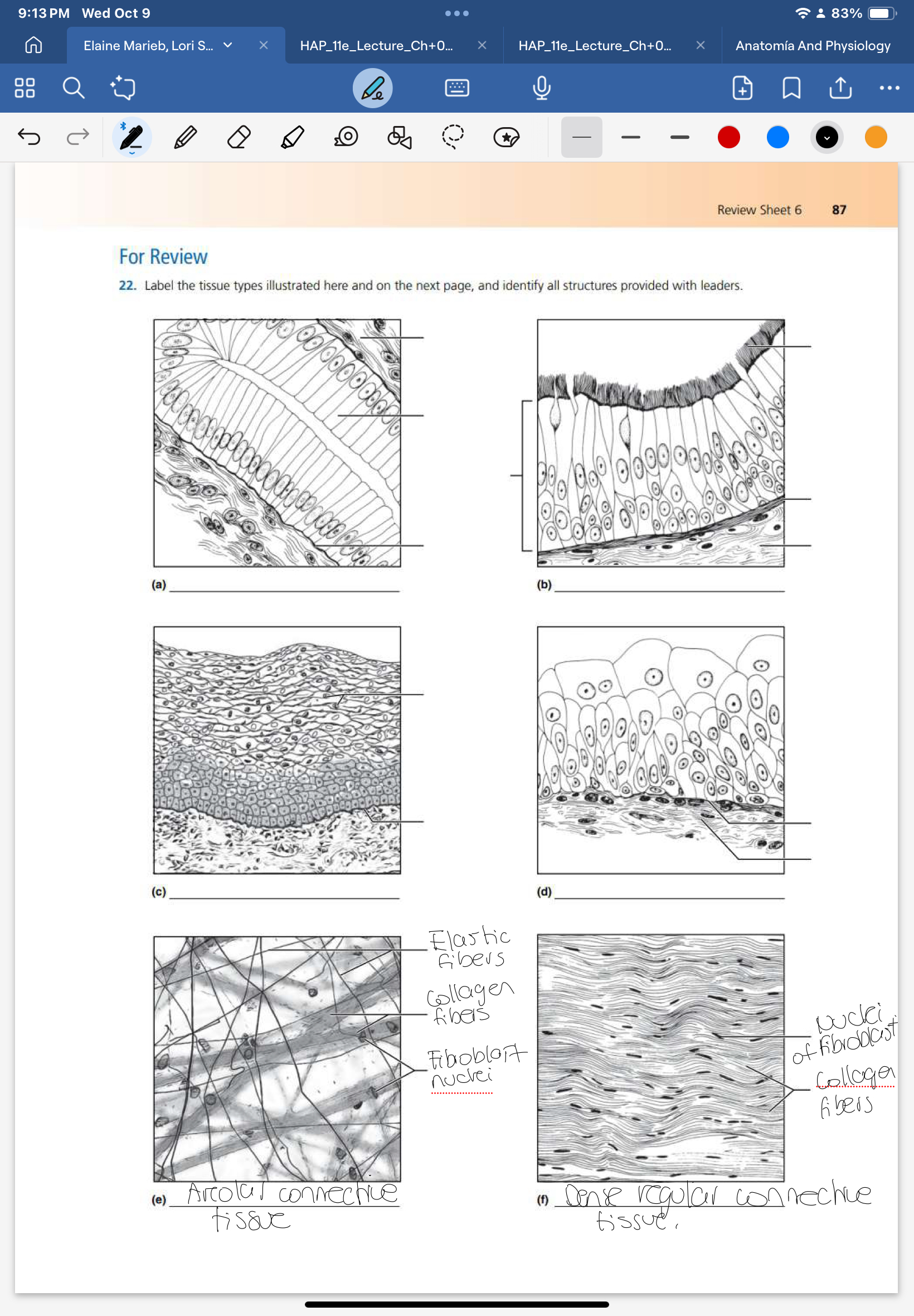 (j)(k)For ReviewLabel the tissue types illustrated | Chegg.com
