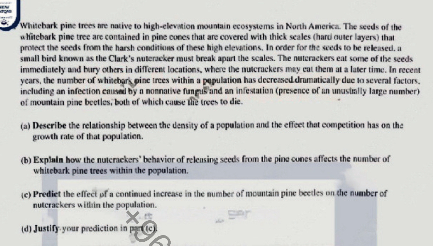 Solved Whitebark pine trees are native to high-elevation | Chegg.com