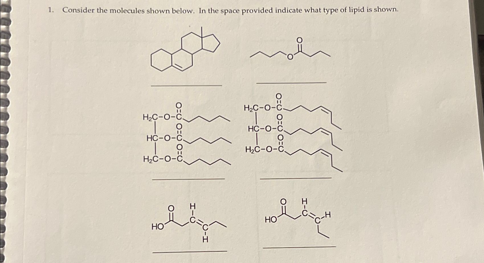 Solved Consider the molecules shown below. In the space | Chegg.com