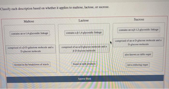 Solved Classify each description based on whether it applies | Chegg.com