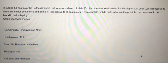 Solved In horses, some of the genes for hair color are | Chegg.com