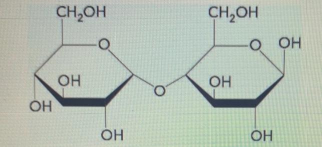 Solved which of the following is an example of a reducing | Chegg.com