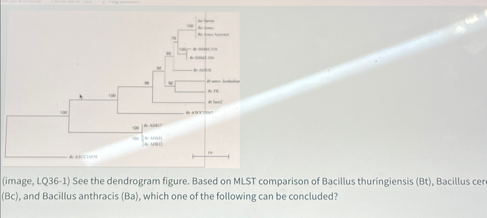 Solved (image, ﻿LQ36-1) ﻿See the dendrogram figure. Based on | Chegg.com