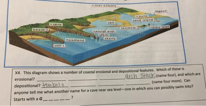 Lagoon Diagram