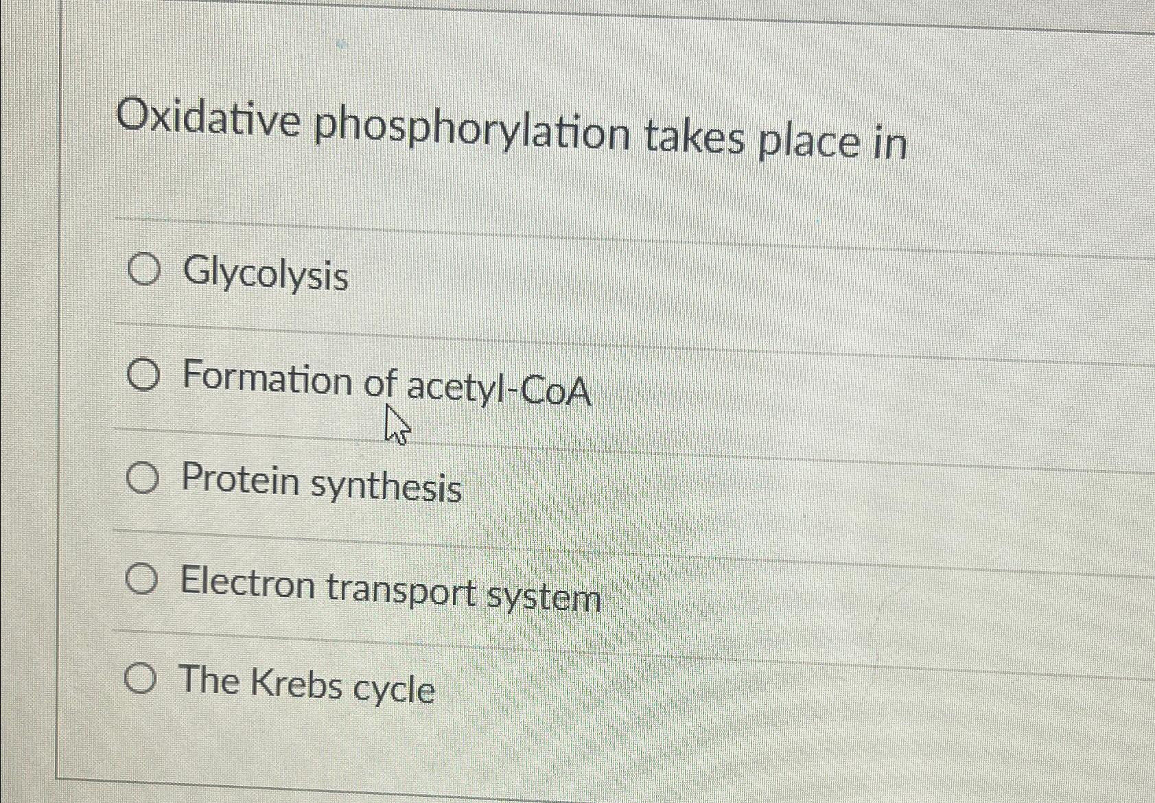 Solved Oxidative phosphorylation takes place | Chegg.com