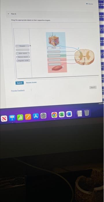 Solved do you know the answer? | Chegg.com