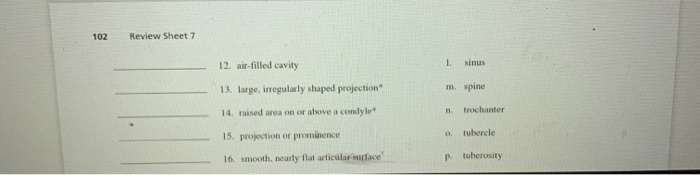 Solved Bone Markings 3. Match the terms in column B with the | Chegg.com