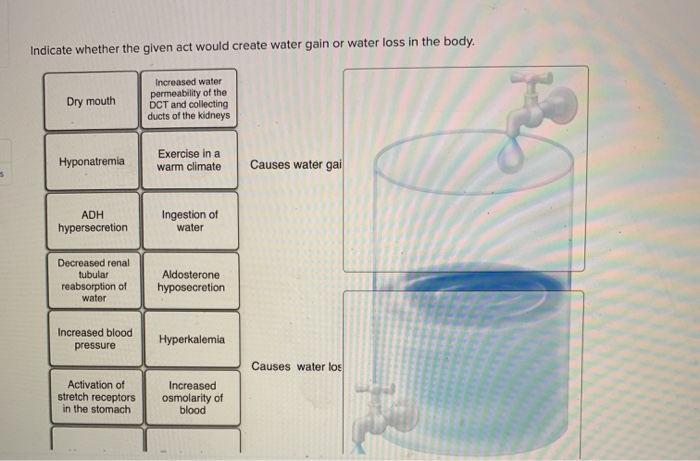 Solved Indicate whether the given act would create water | Chegg.com