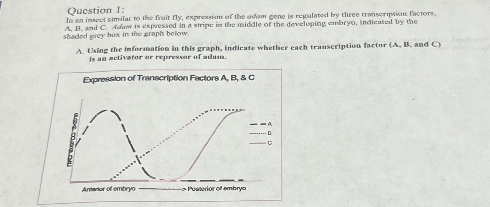 Solved Question 1:In an insect similar to the fruit fly, | Chegg.com