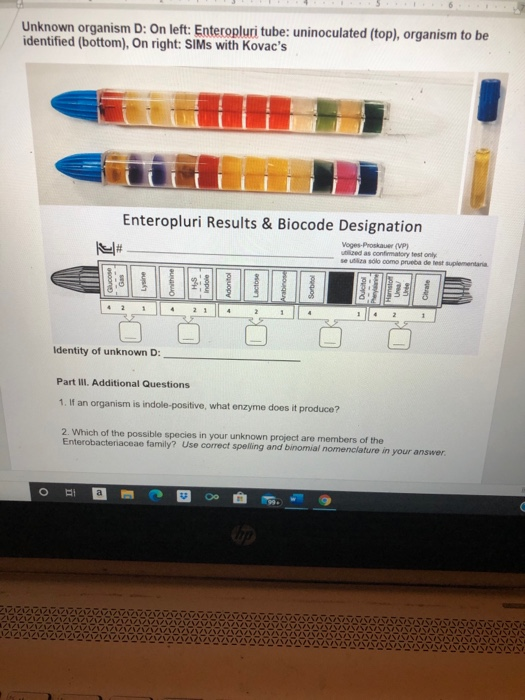 Solved Unknown organism D: On left: Enteropluri tube: | Chegg.com
