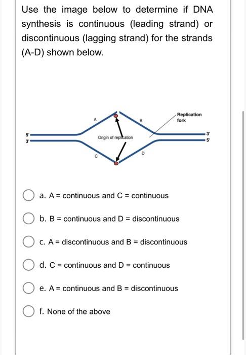 Solved Use the image below to determine if DNA synthesis is | Chegg.com