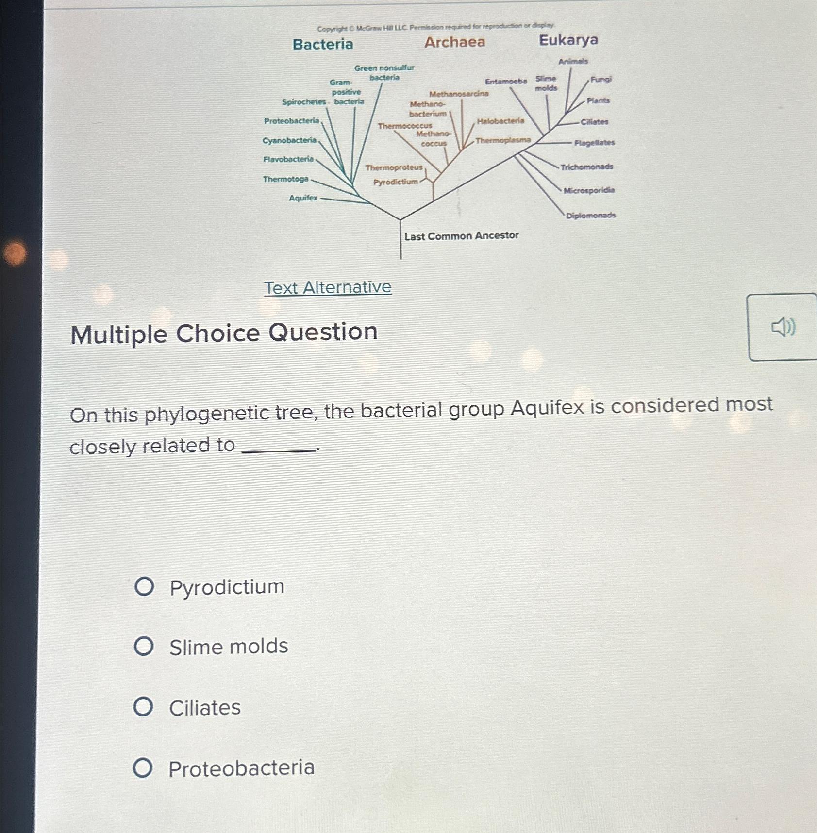 Solved Multiple Choice QuestionOn this phylogenetic tree, | Chegg.com