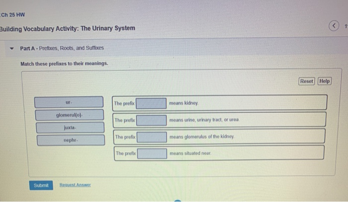 Solved Ch 25 HW Building Vocabulary Activity: The Urinary | Chegg.com Solved Ch 25 HW Building Vocabulary Activity: The Urinary | Chegg.com