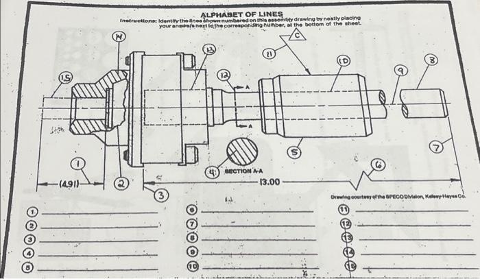 Solved 1. (2) 3 4 (15) -(491) ALPHABET OF LINES | Chegg.com
