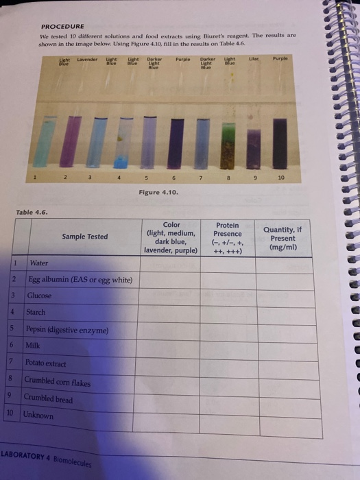 Solved EXERCISE 3. BIURET TEST FOR PROTEINS INTRODUCTION | Chegg.com