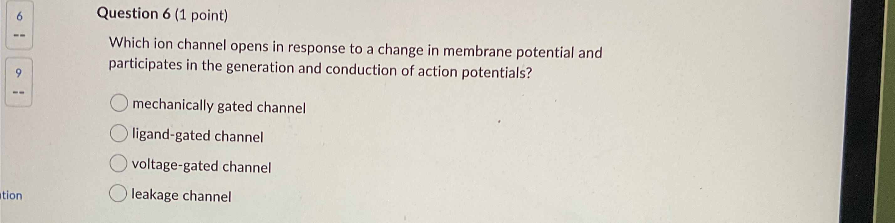 Solved Question 6 (1 ﻿point)Which ion channel opens in | Chegg.com
