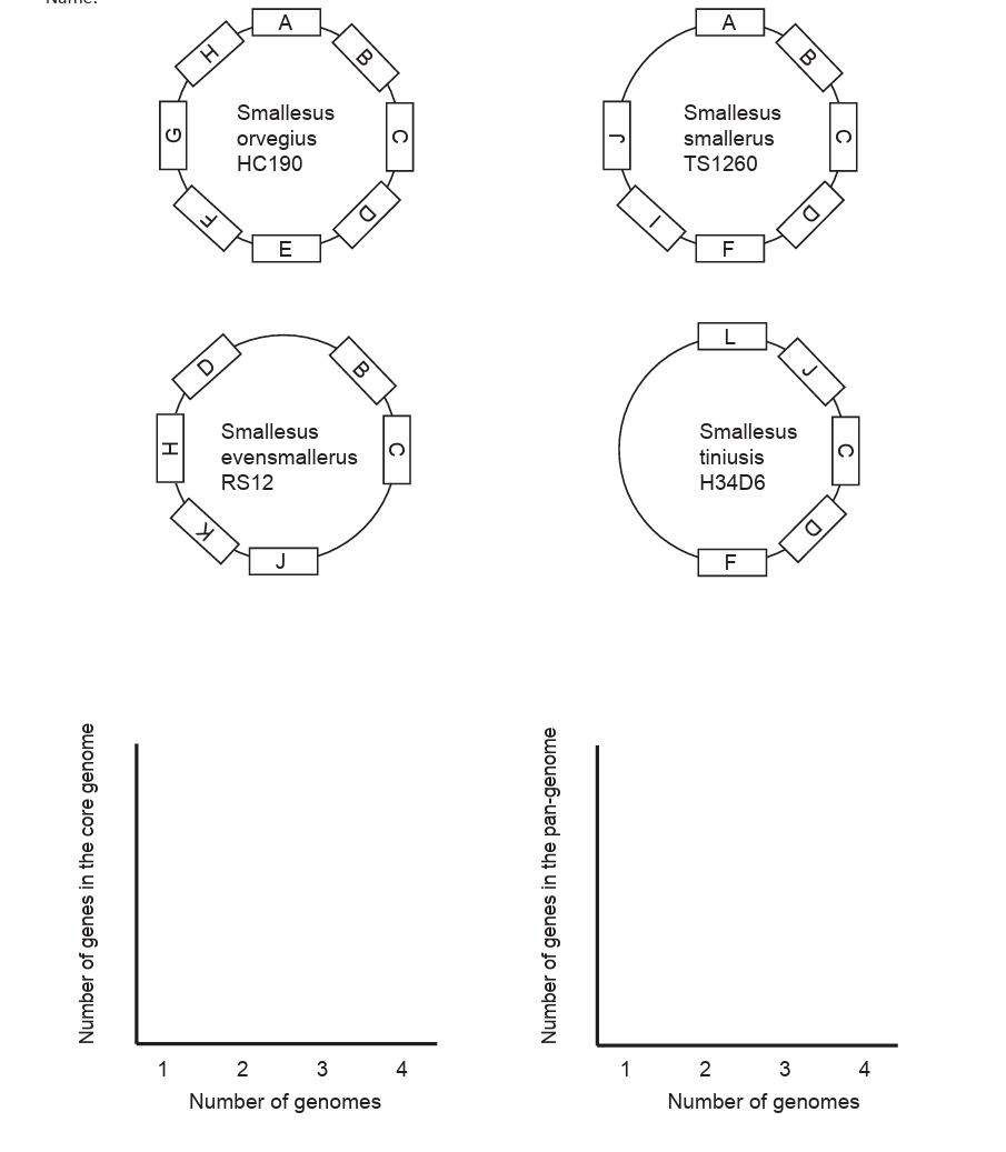 Solved Calculate the core and pan-genomes for the following | Chegg.com