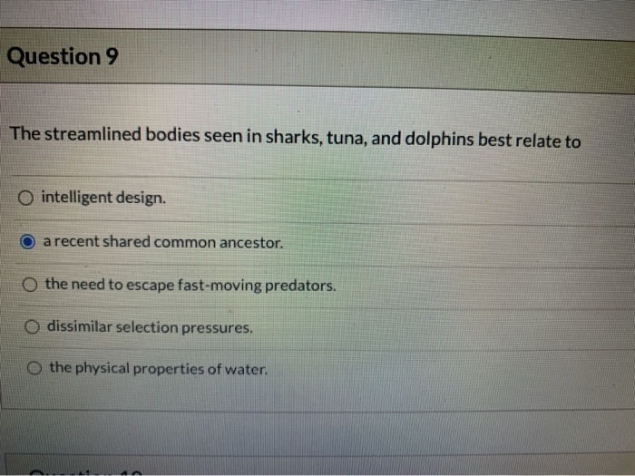 Solved Question 9 The streamlined bodies seen in sharks, | Chegg.com