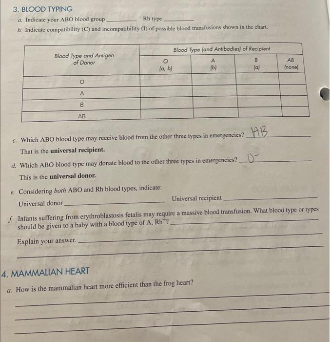 Solved 3. BLOOD TYPING a. Indicate your ABO blood group Rh | Chegg.com