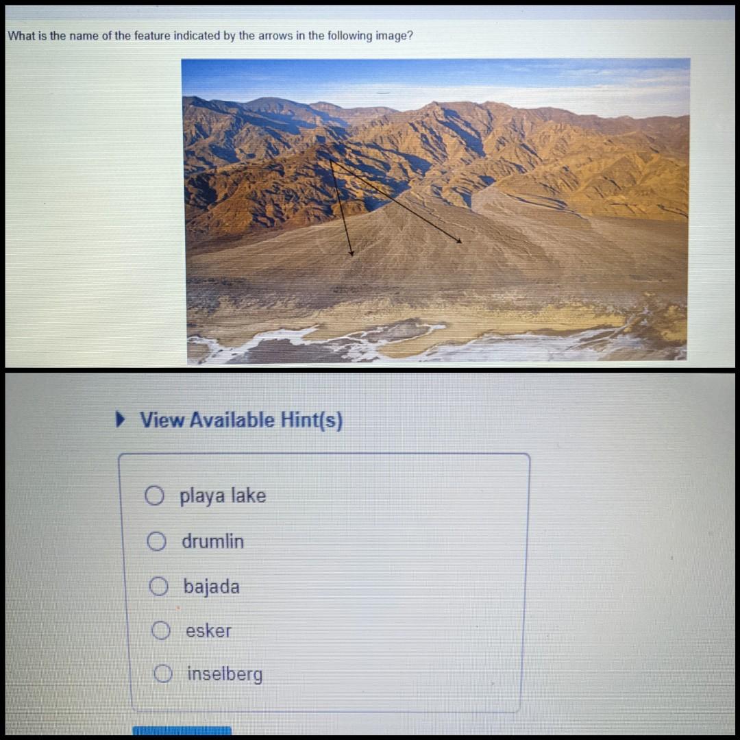 Solved What is the name of the feature indicated by the | Chegg.com