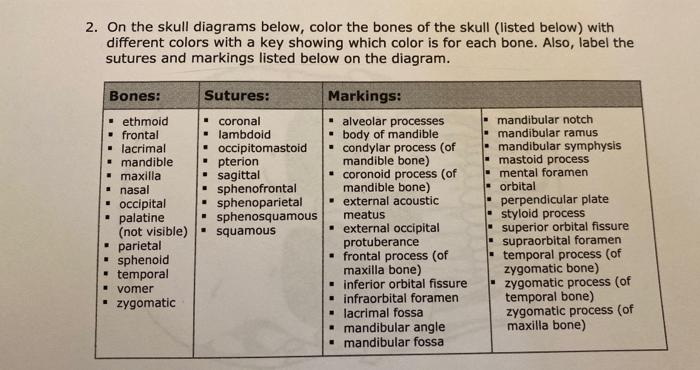 On the skull diagrams below, color the bones of the | Chegg.com