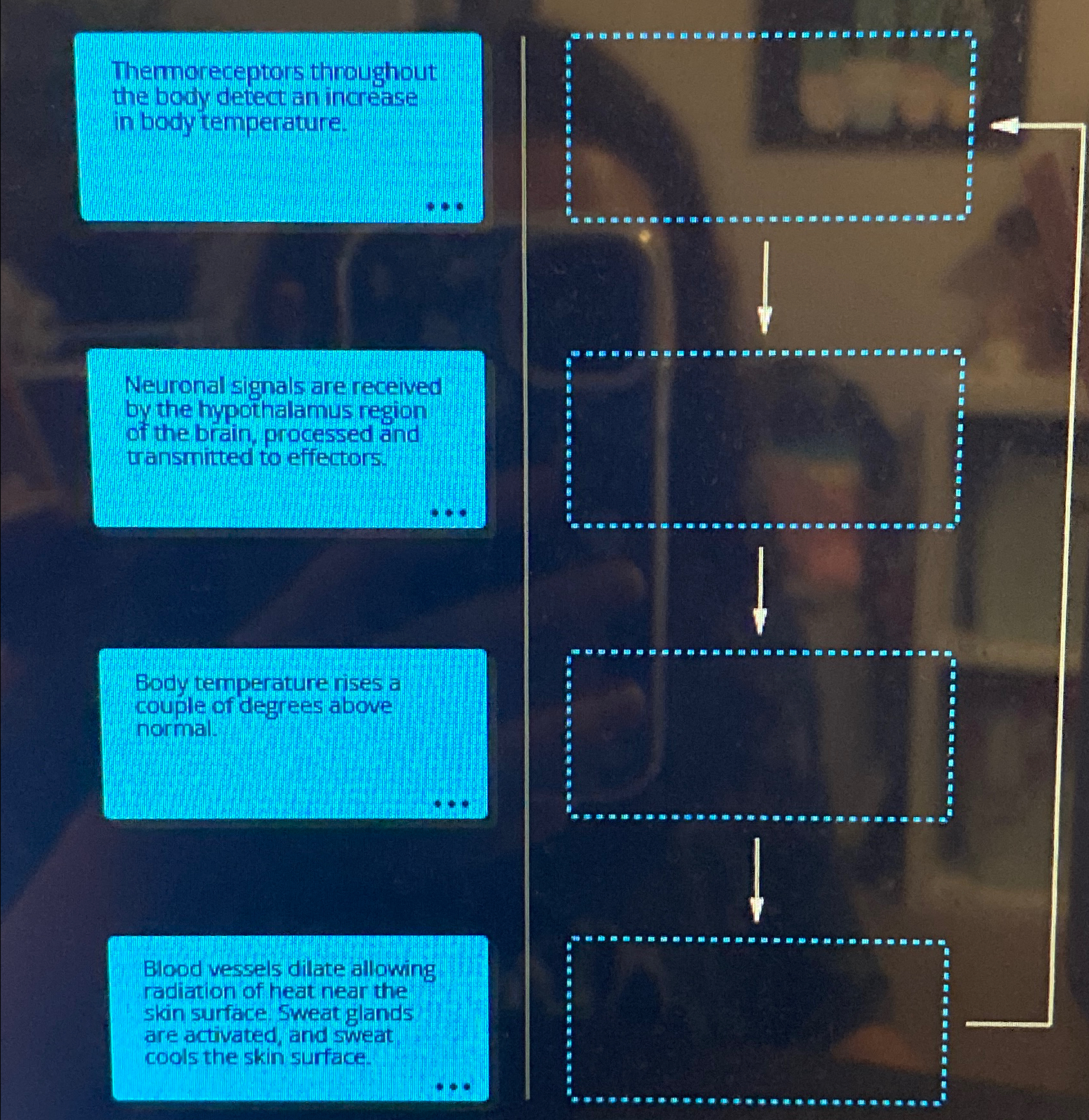 Solved Themoreceptors throughout the body detect an increase | Chegg.com