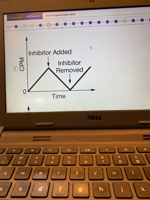 Solved Cycloheximide (CHX) is a eukaryote protein synthesis | Chegg.com