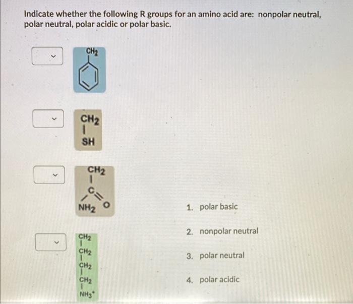 Solved Indicate whether the following R groups for an amino | Chegg.com