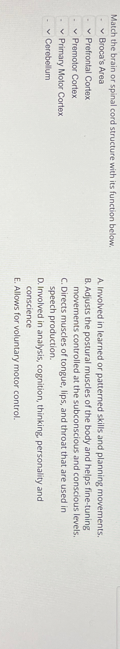 Solved Match the brain or spinal cord structure with its | Chegg.com