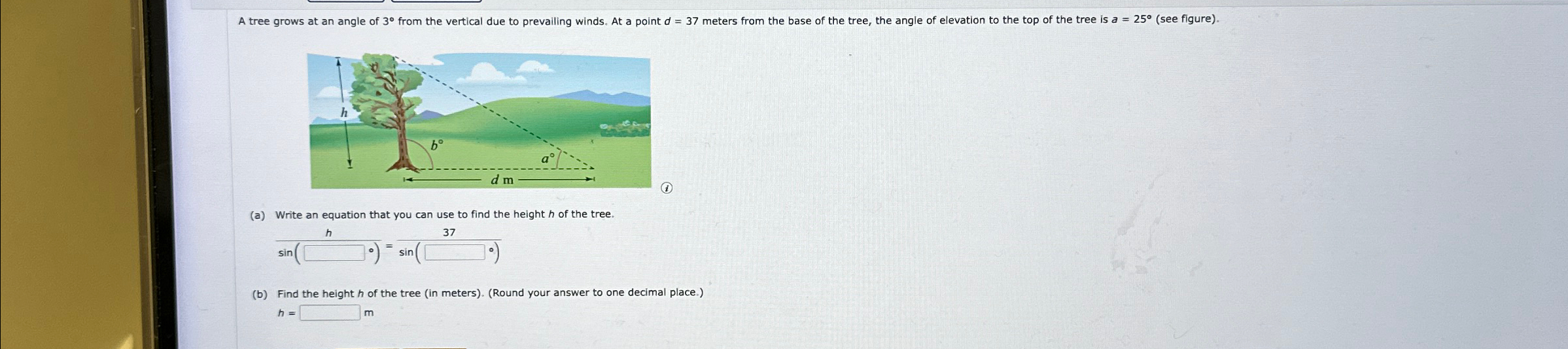 A tree grows at an angle of 3° ﻿from the vertical due | Chegg.com
