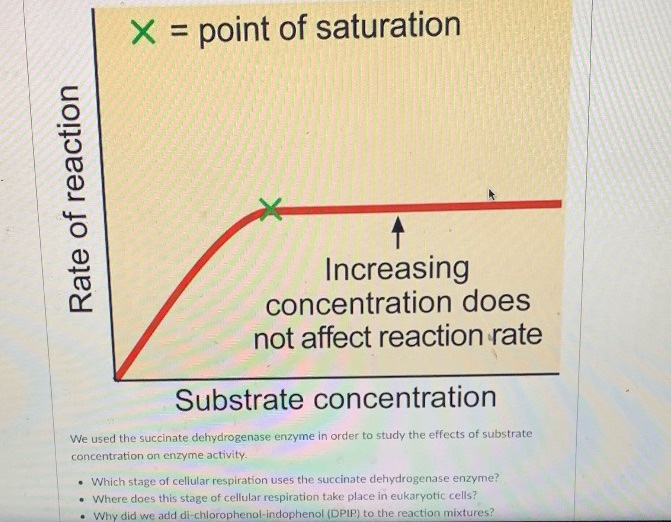 Solved X = point of saturation Rate of reaction Increasing | Chegg.com