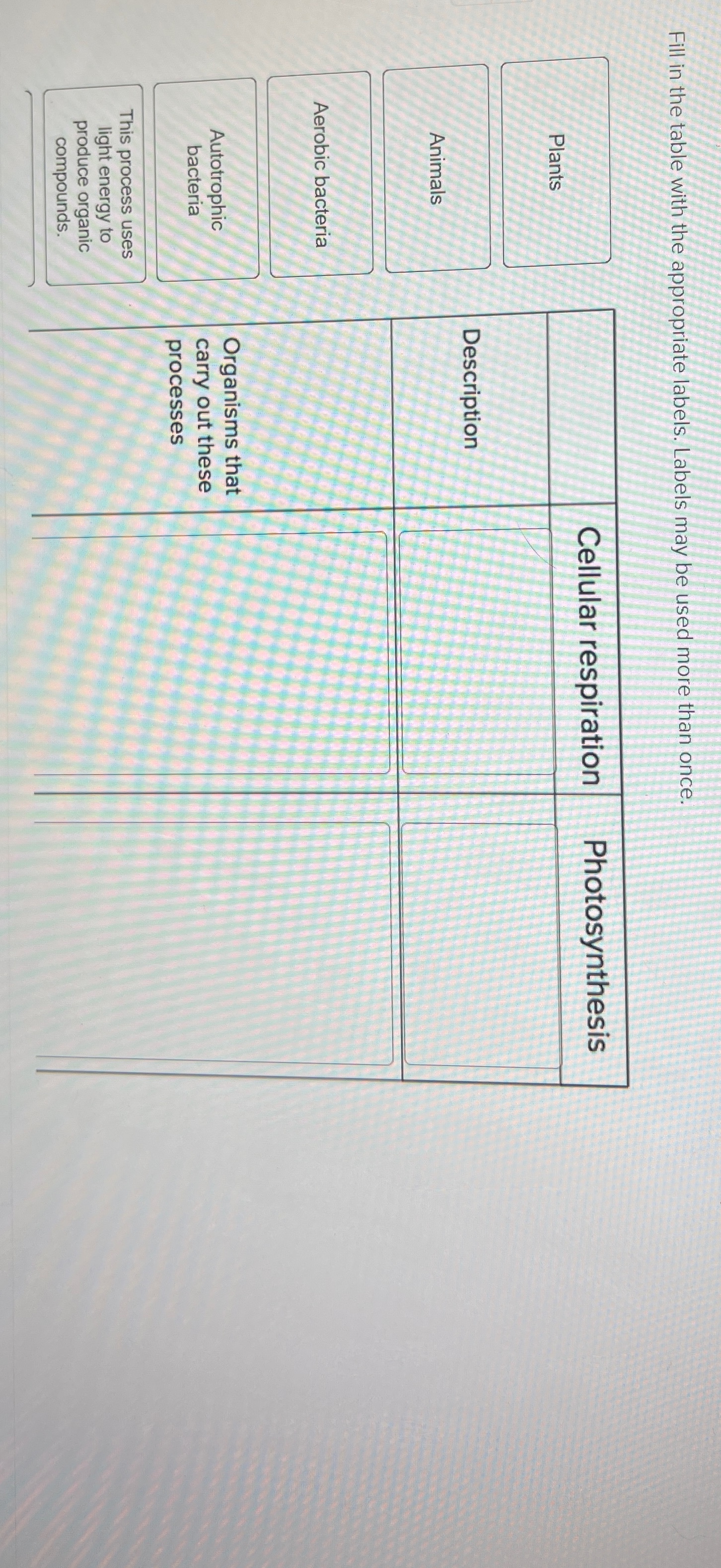 Solved Fill in the table with the appropriate labels. Labels | Chegg.com