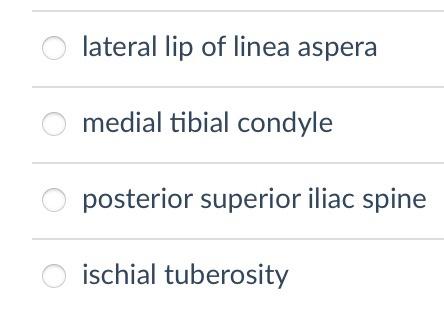 Solved lateral lip of linea aspera medial tibial condyle | Chegg.com