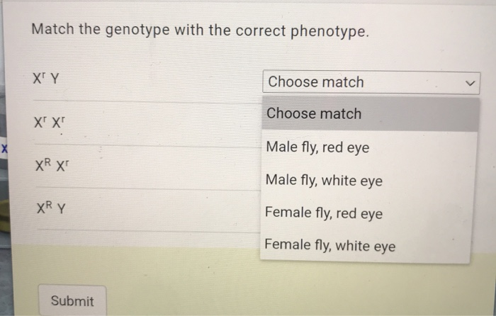 Solved Match the genotype with the correct phenotype. XTY | Chegg.com