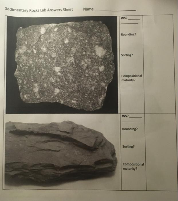 Solved SaNin WS? Rounding? Sorting? Compositional maturity? | Chegg.com