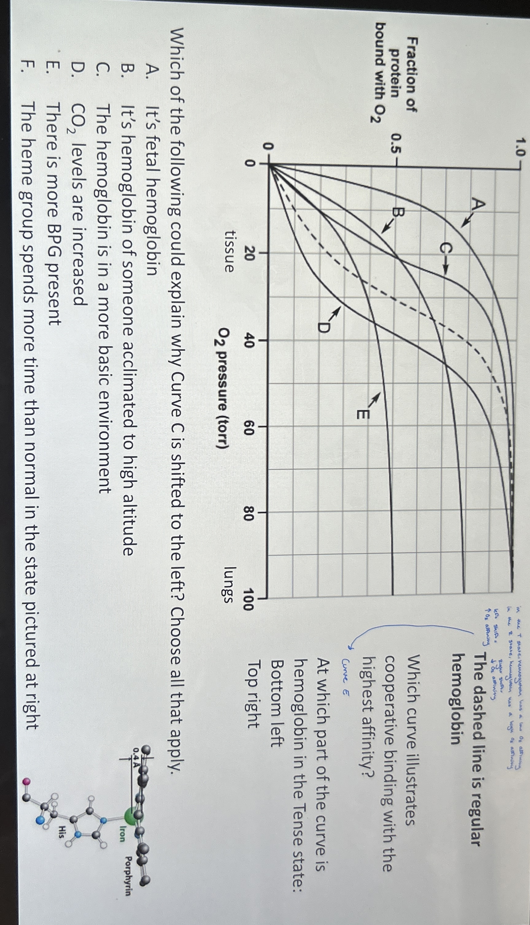 Solved C. ﻿Shif: ".The dashed line is regular | Chegg.com