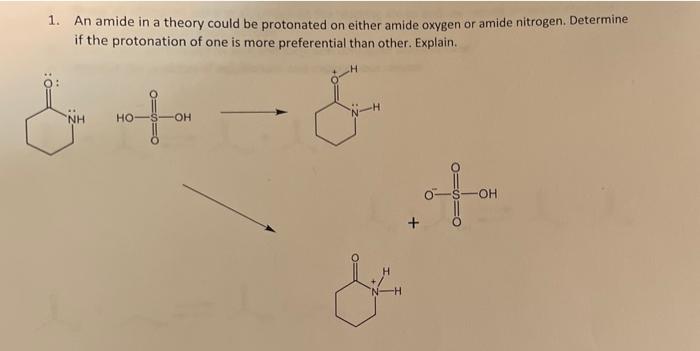 Solved 1. An amide in a theory could be protonated on either | Chegg.com