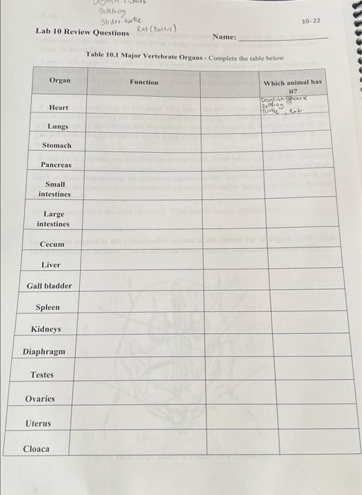 Solved WATE Bullbog Slider turtle Rat (Rattus) 10-22 Lab 10 | Chegg.com