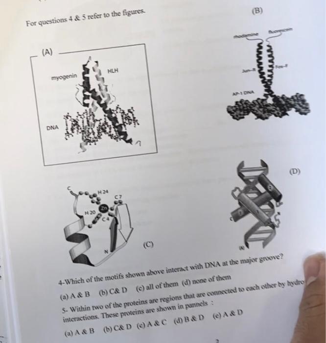Solved For questions 4&5 refer to the figures. (B) (D) C) 4. | Chegg.com