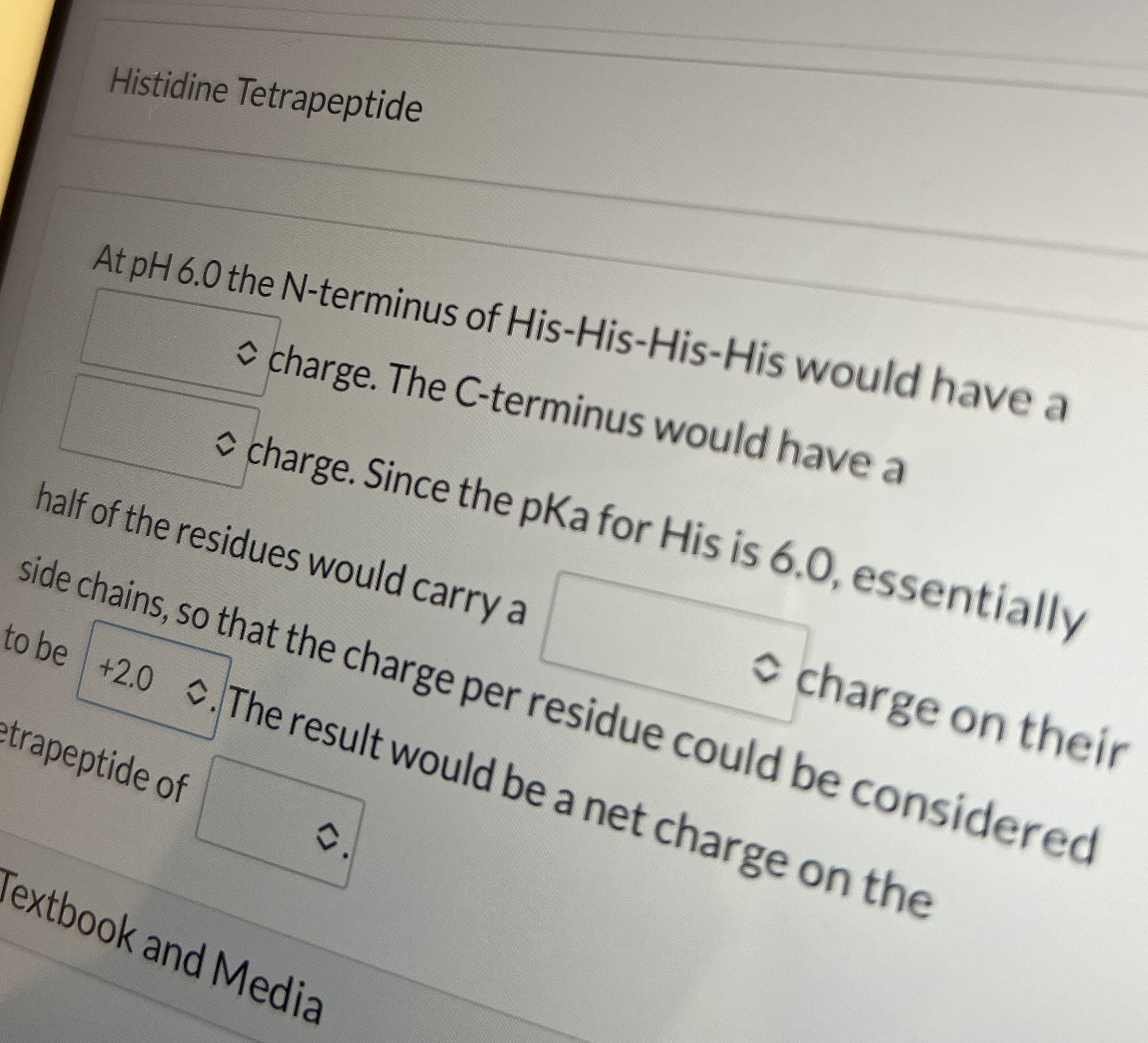 Solved Histidine TetrapeptideAtpH 6.0 ﻿the N -terminus of | Chegg.com