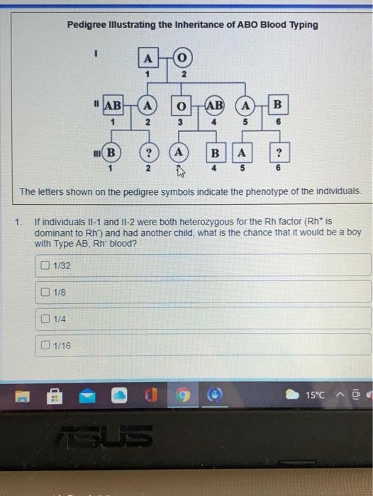 Solved Pedigree Illustrating the Inheritance of ABO Blood | Chegg.com